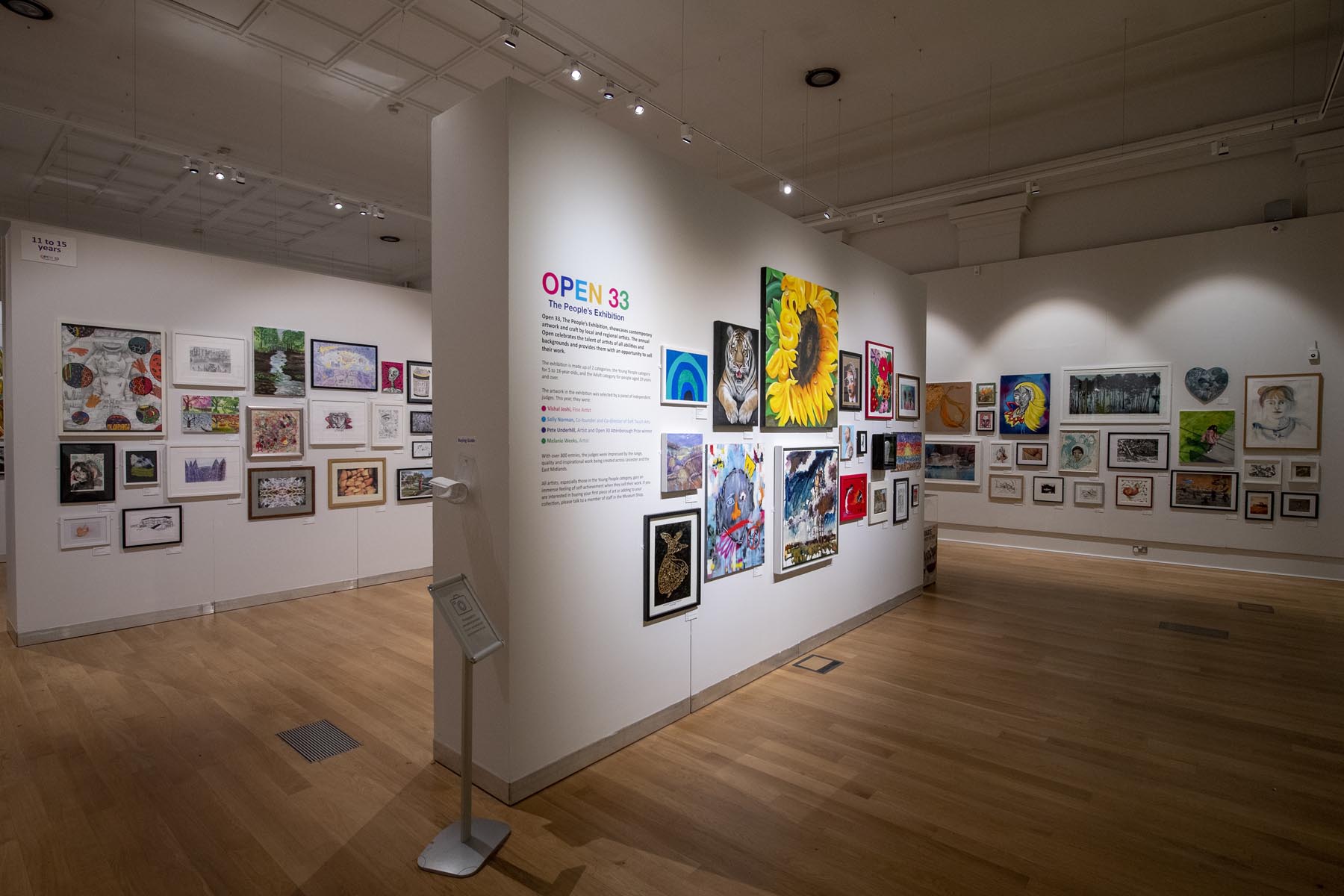 Open 33 Prize Winners – Leicester Museums