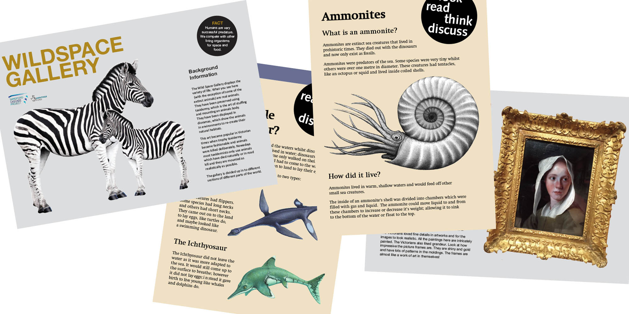 Leicester Museum & Art Gallery Learning Activities – Leicester Museums